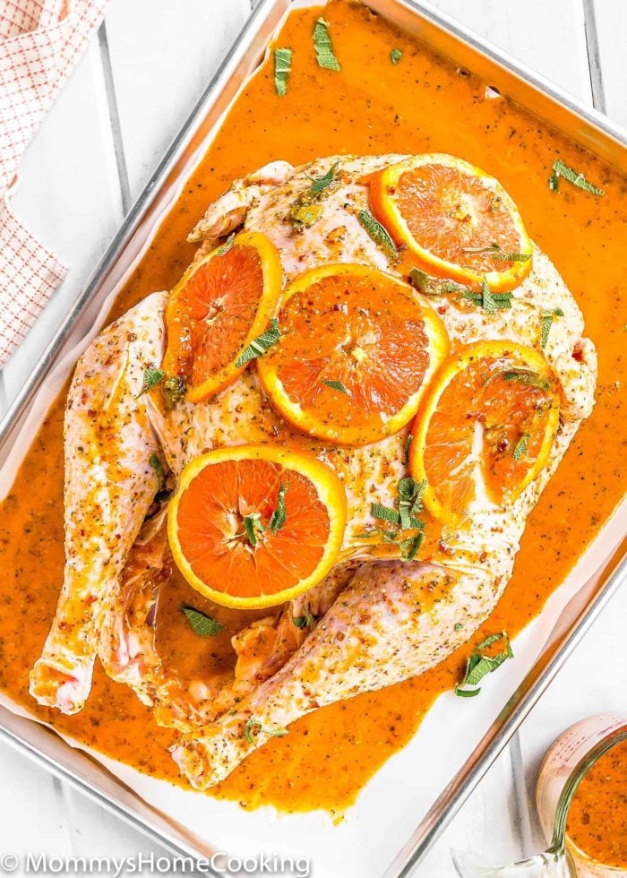BEST Citrus-Chipotle Turkey Marinade - Mommy's Home Cooking