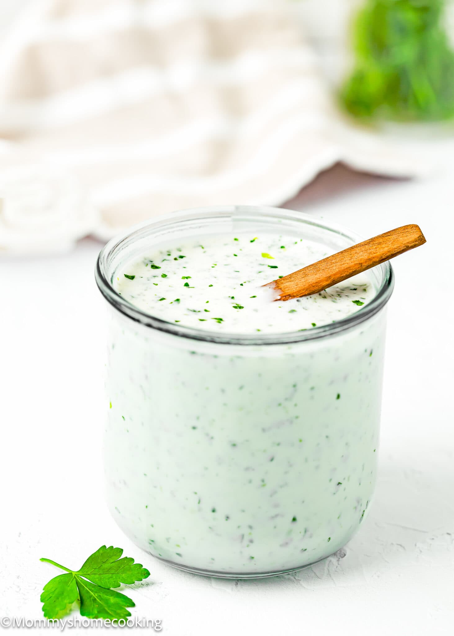 Venezuelan Garlic Sauce (Salsa de Ajo Venezolana) - Mommy's Home Cooking