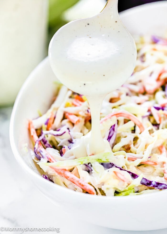 Easy Coleslaw Salad Dressing - Mommy's Home Cooking